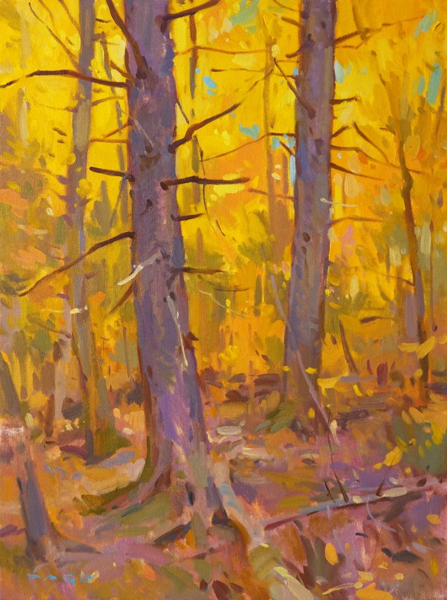 Artist: Colin Page | Page Gallery