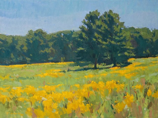 Artist: Colin Page | Page Gallery