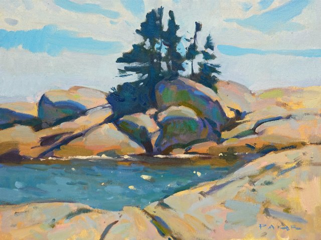 Artist: Colin Page | Page Gallery