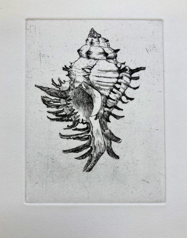 Artist: Sarah Horowitz | Page Gallery