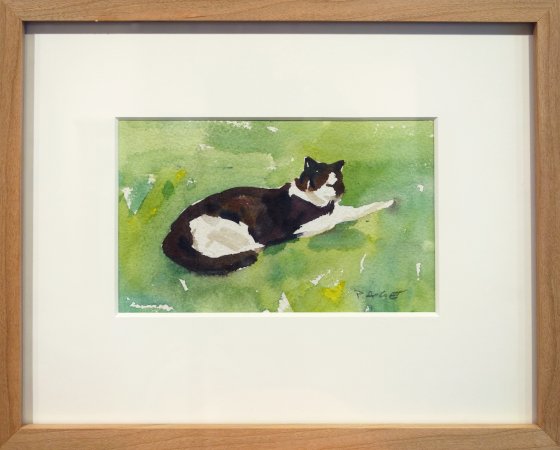 Artist: Colin Page | Page Gallery