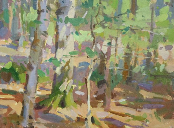Artist: Colin Page | Page Gallery