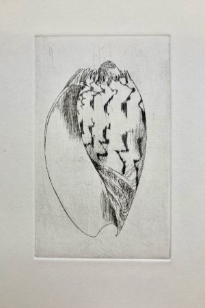 Artist: Sarah Horowitz | Page Gallery